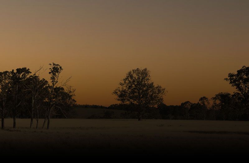 My Bushfire Plan WA: The Fire Danger Rating System has changed