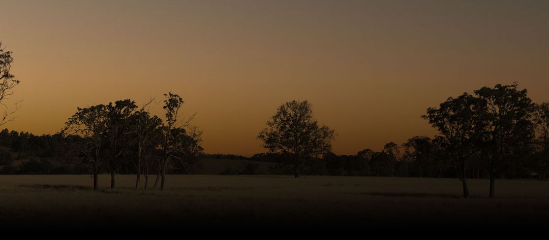 My Bushfire Plan WA: The Fire Danger Rating System has changed