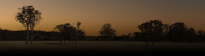 My Bushfire Plan WA: The Fire Danger Rating System has changed